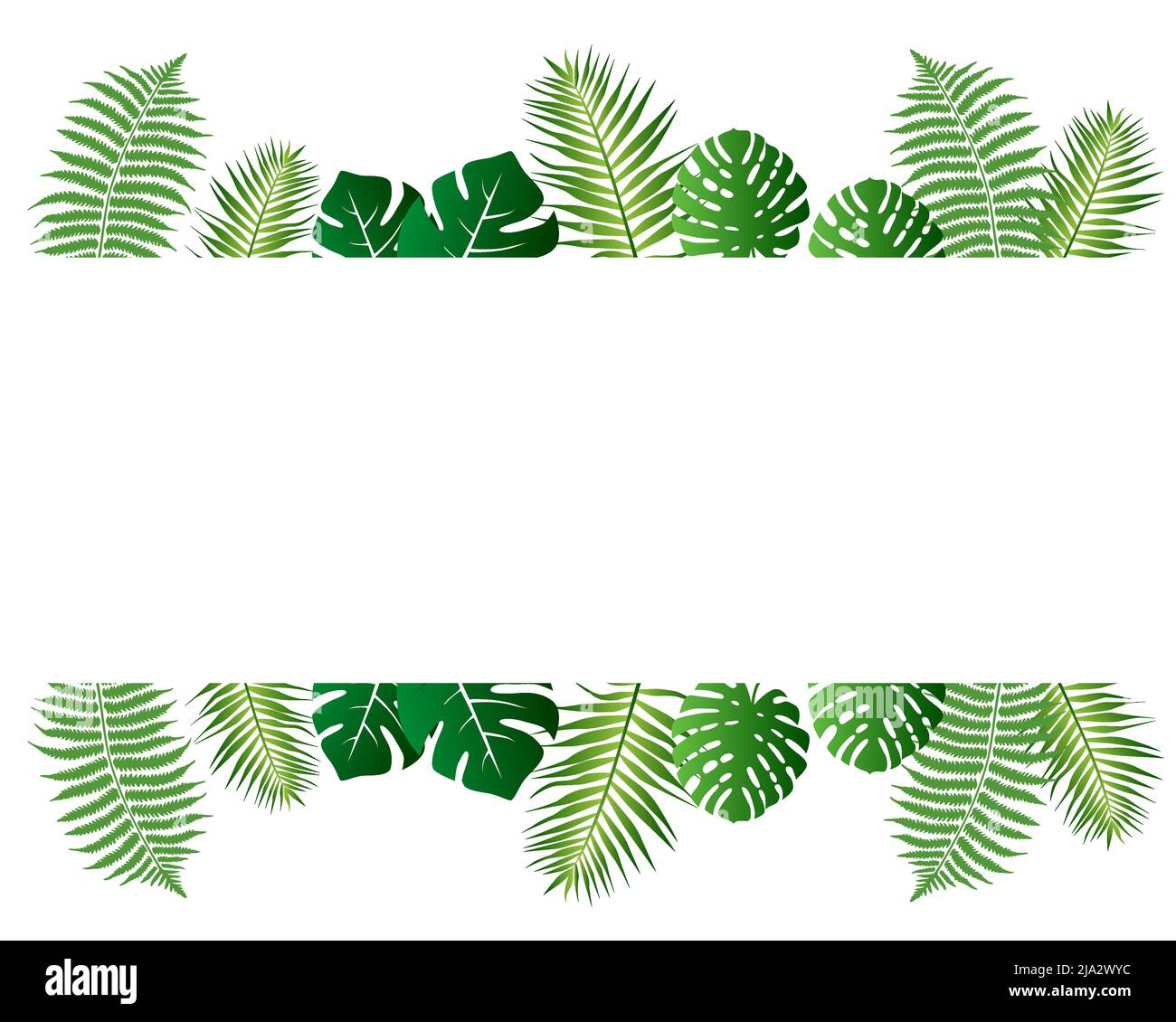 Abstract leafy border design concept of green leaves isolated on white ...