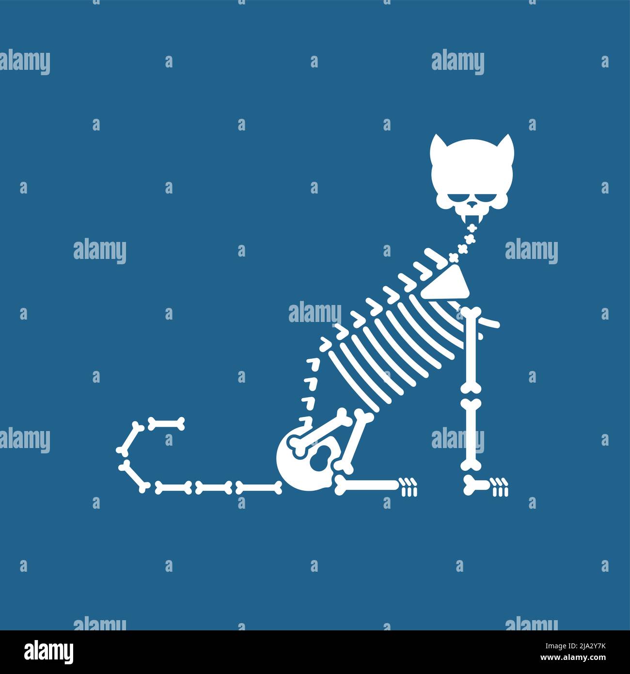 Skeleton cat isolated. Cat skull and bones. Vector illustration Stock ...