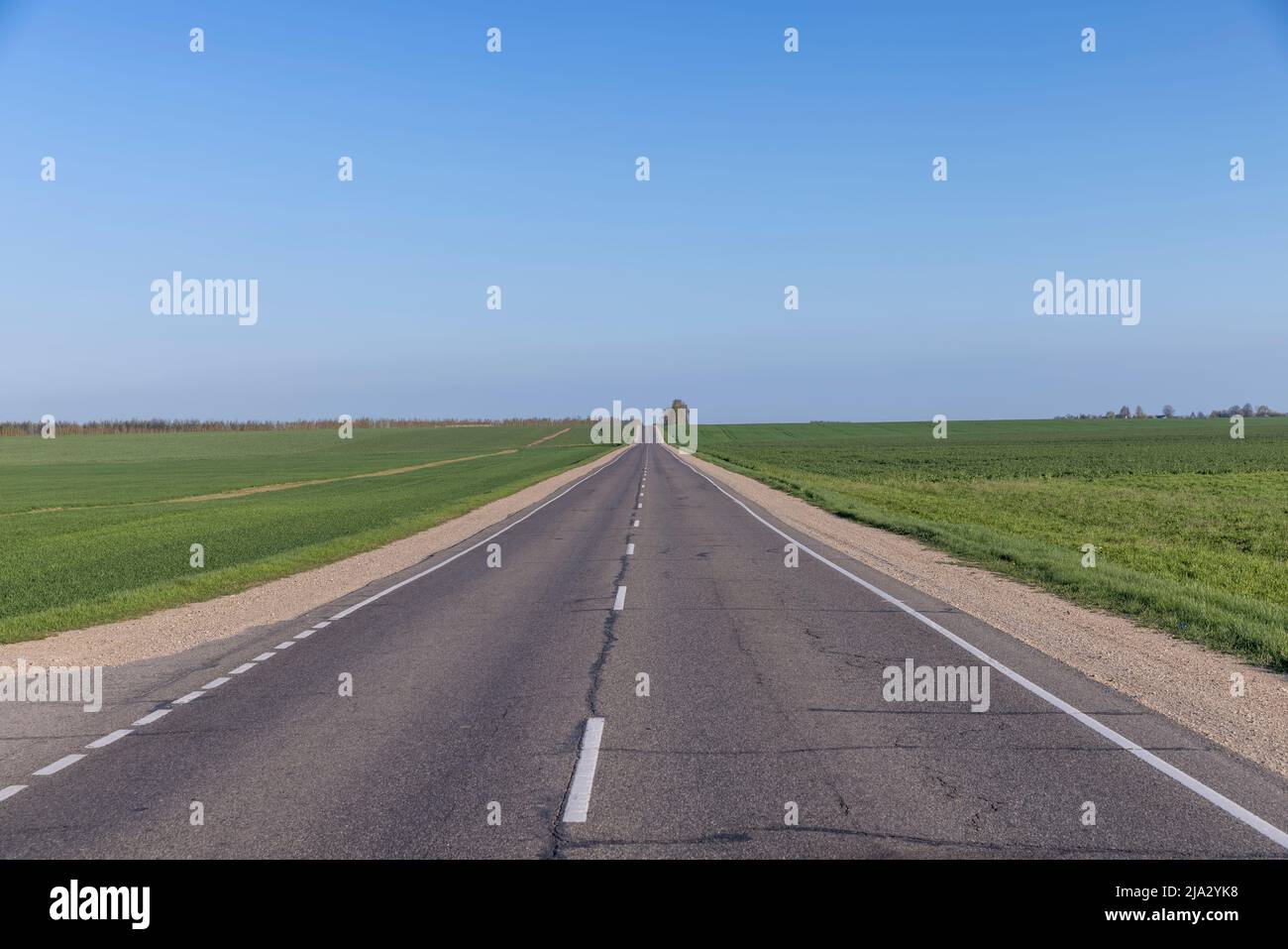 an asphalt road along which green plants, grass and other plants grow ...