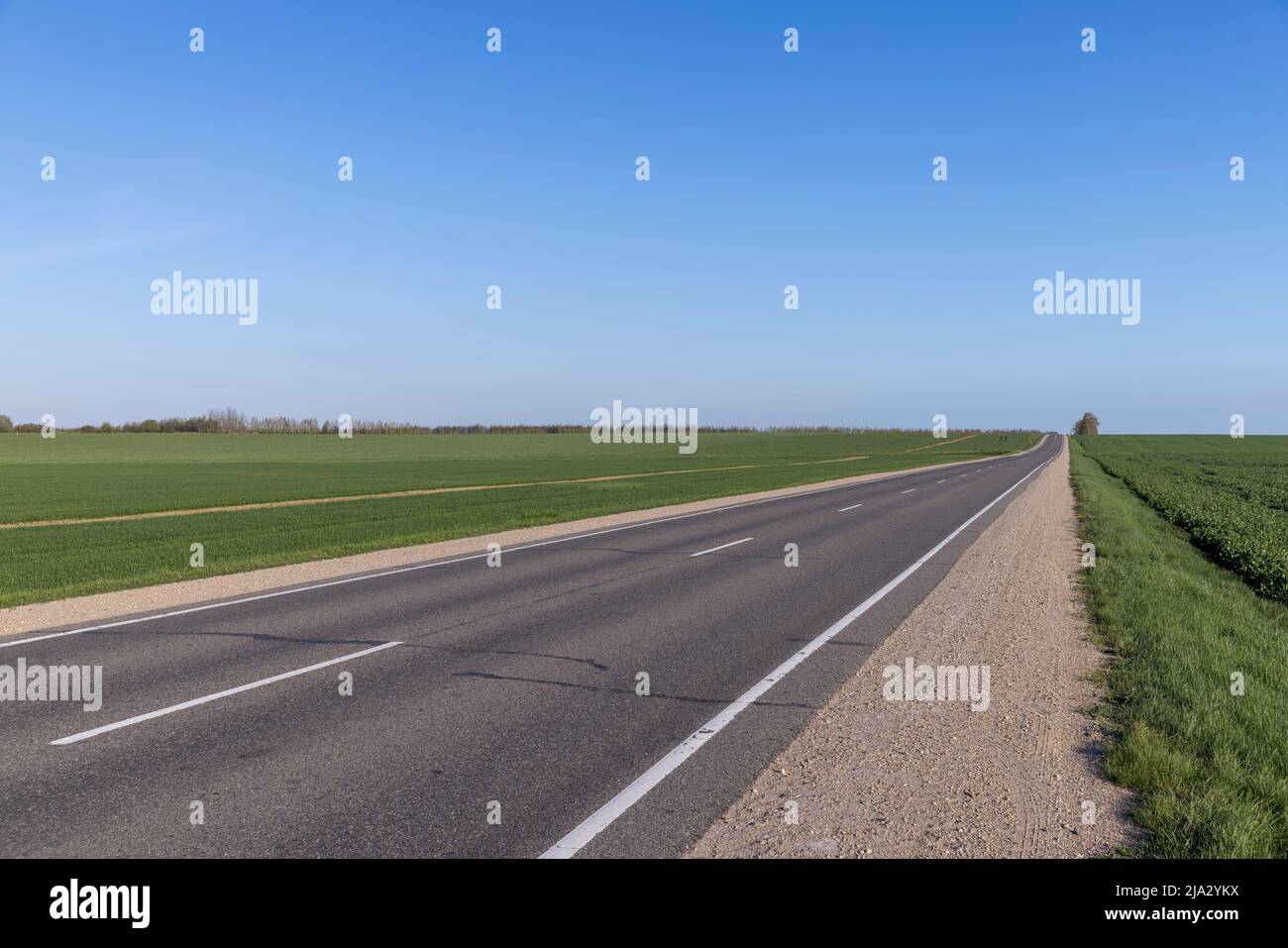 an asphalt road along which green plants, grass and other plants grow ...