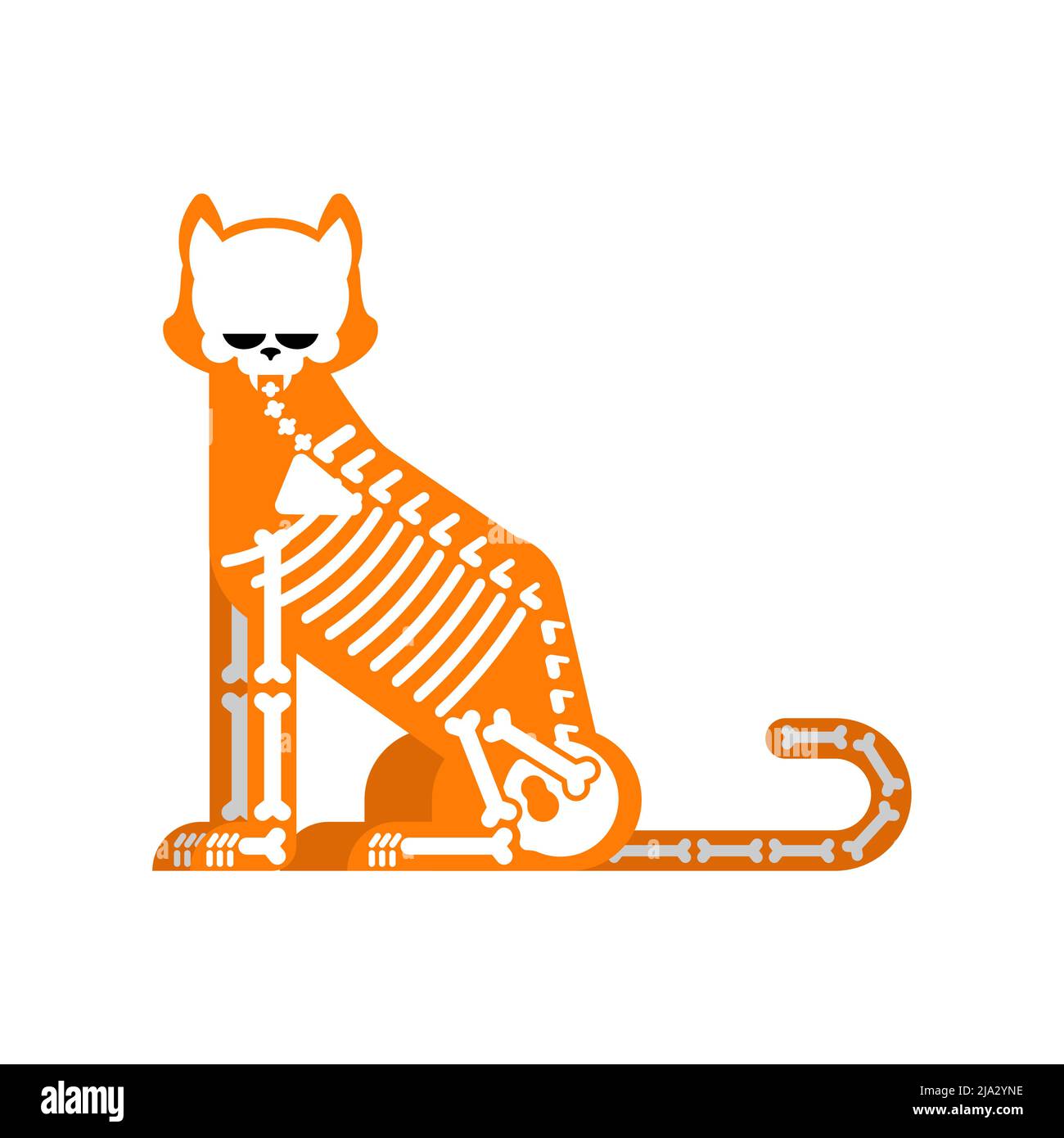 Skeleton cat isolated. Cat skull and bones. Vector illustration Stock ...