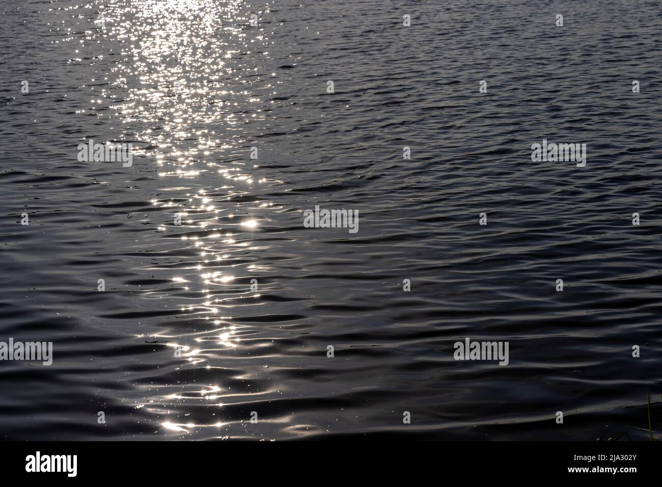 glare from sunlight on the surface of the lake water, windy weather on ...