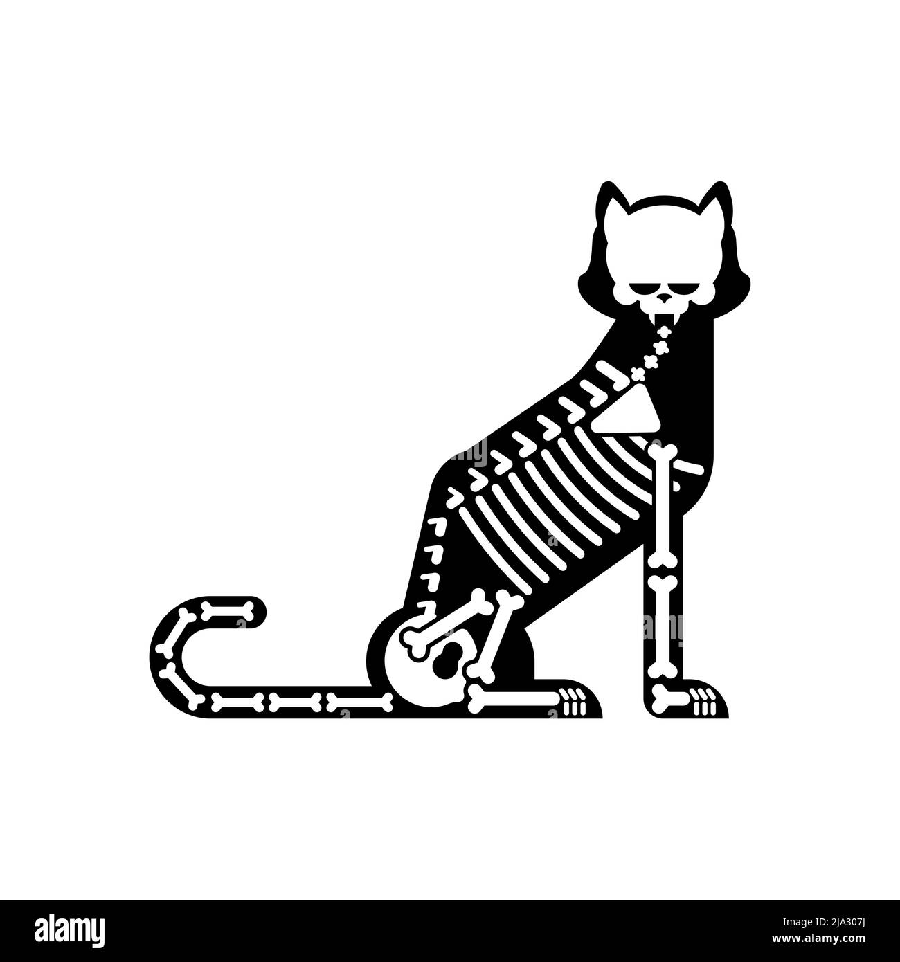 Skeleton cat isolated. Cat skull and bones. Vector illustration Stock ...