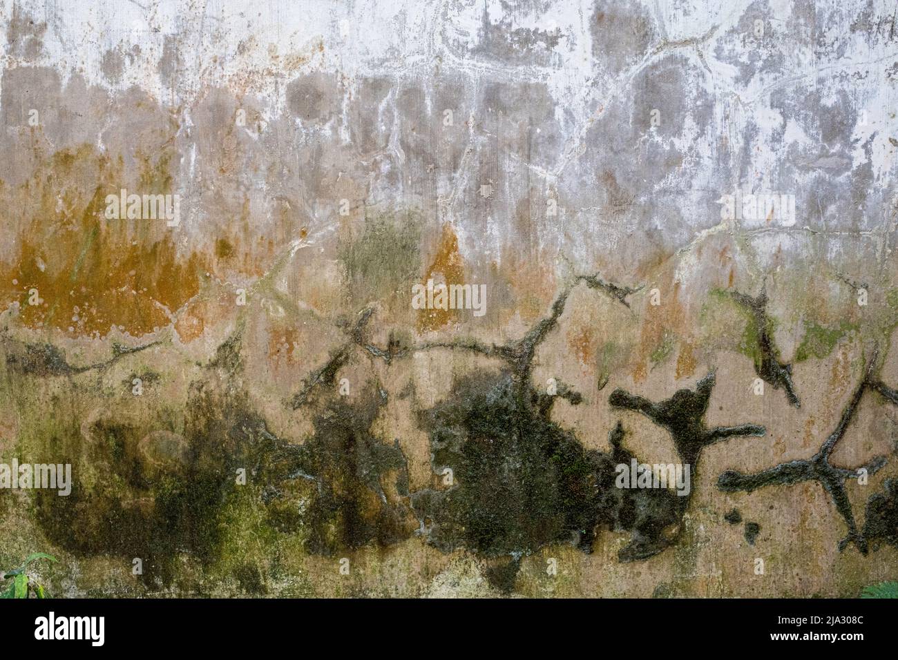 Old concrete wall in Bali, Indonesia with abstract design from mold and ...