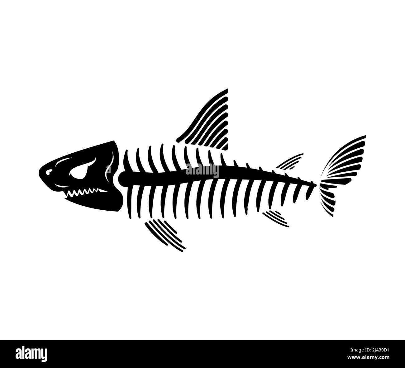 Shark Skeleton Drawing