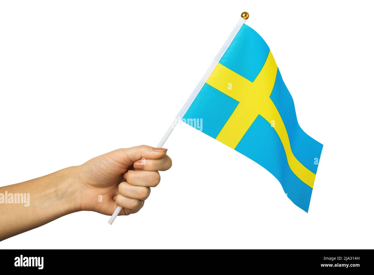 Woman's hand holding Swedish flag isolated on white background ...