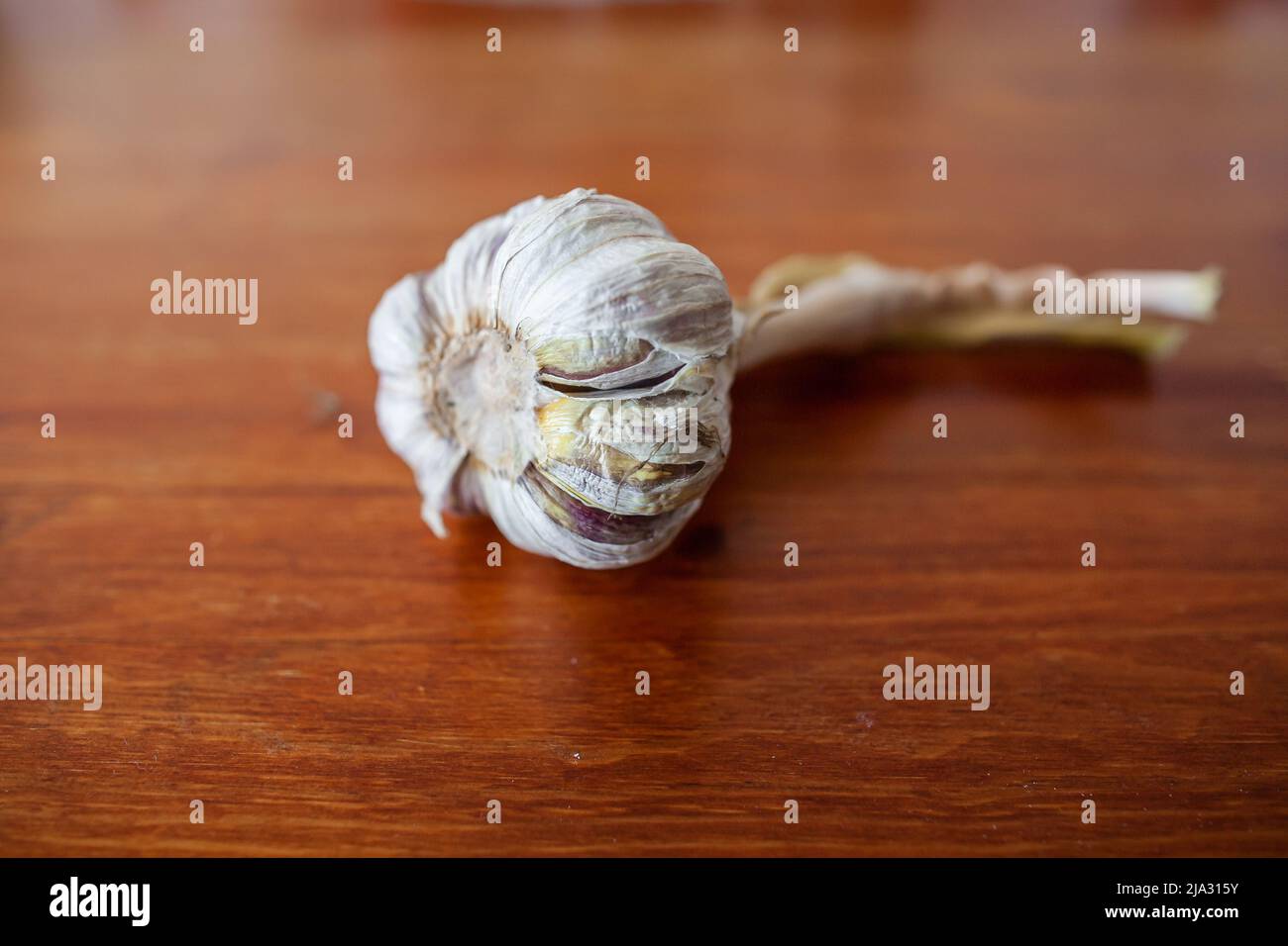 Garlic head with stem lay on wooden table closeup Bottom of garlic on ...