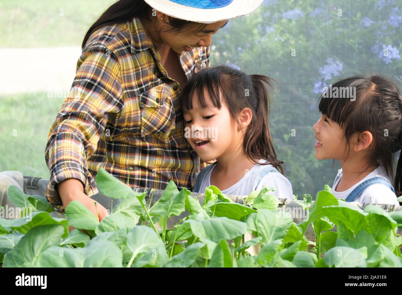 Young mother in straw hat teaching her daughters in backyard garden ...