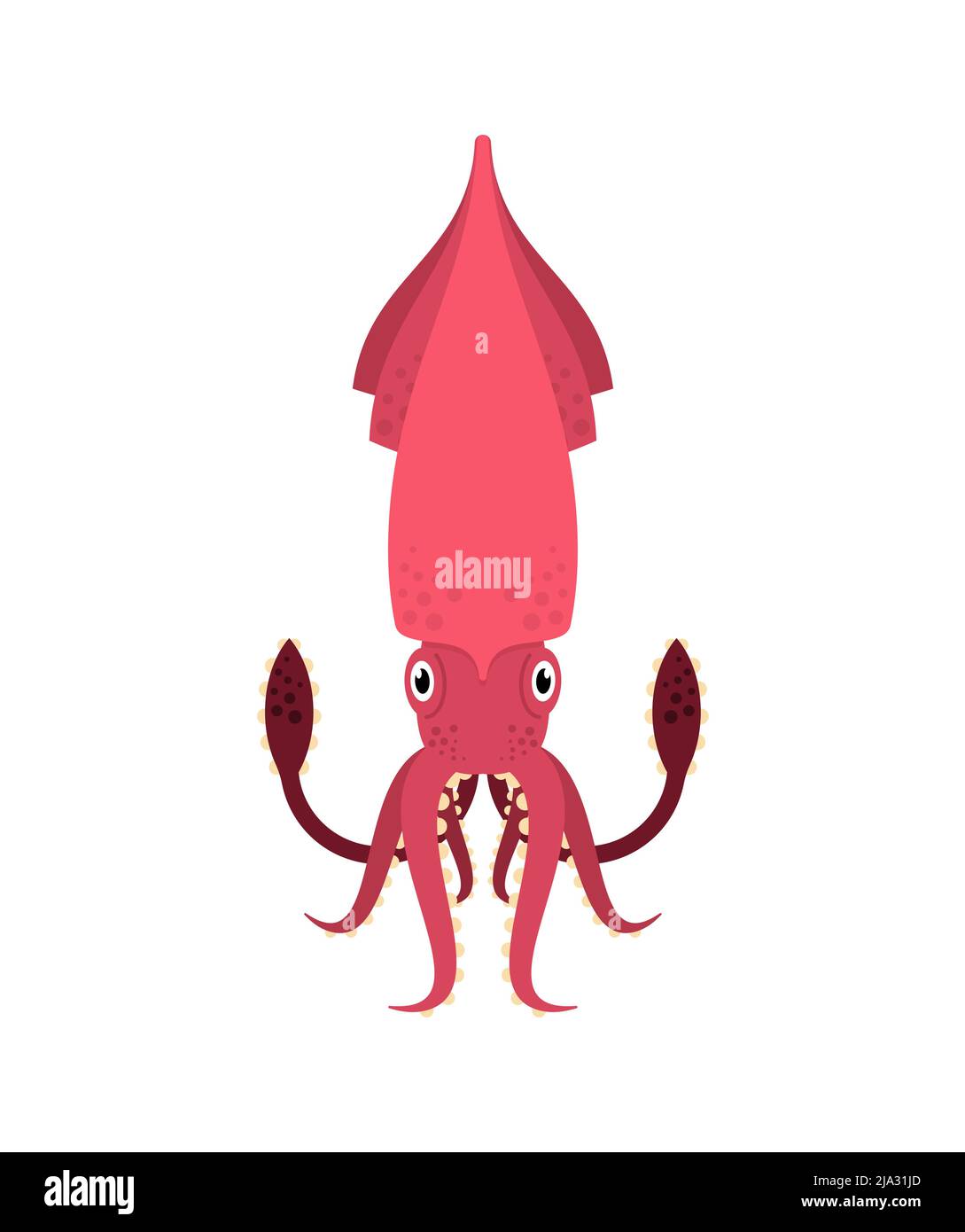 Squid sign isolated. calamary icon. Vector illustration Stock Vector ...