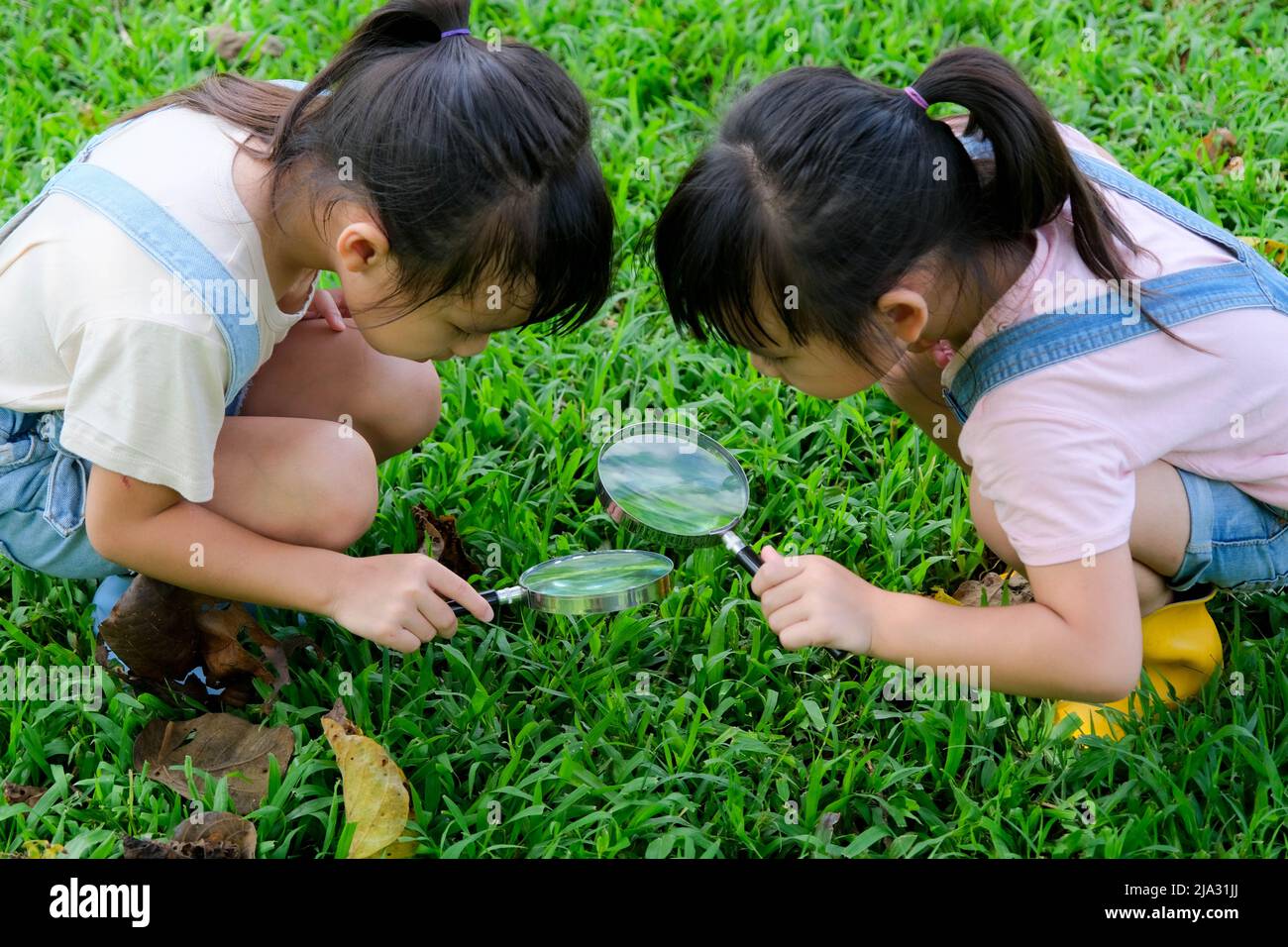 Children learn and explore nature with an outdoor magnifying glass ...