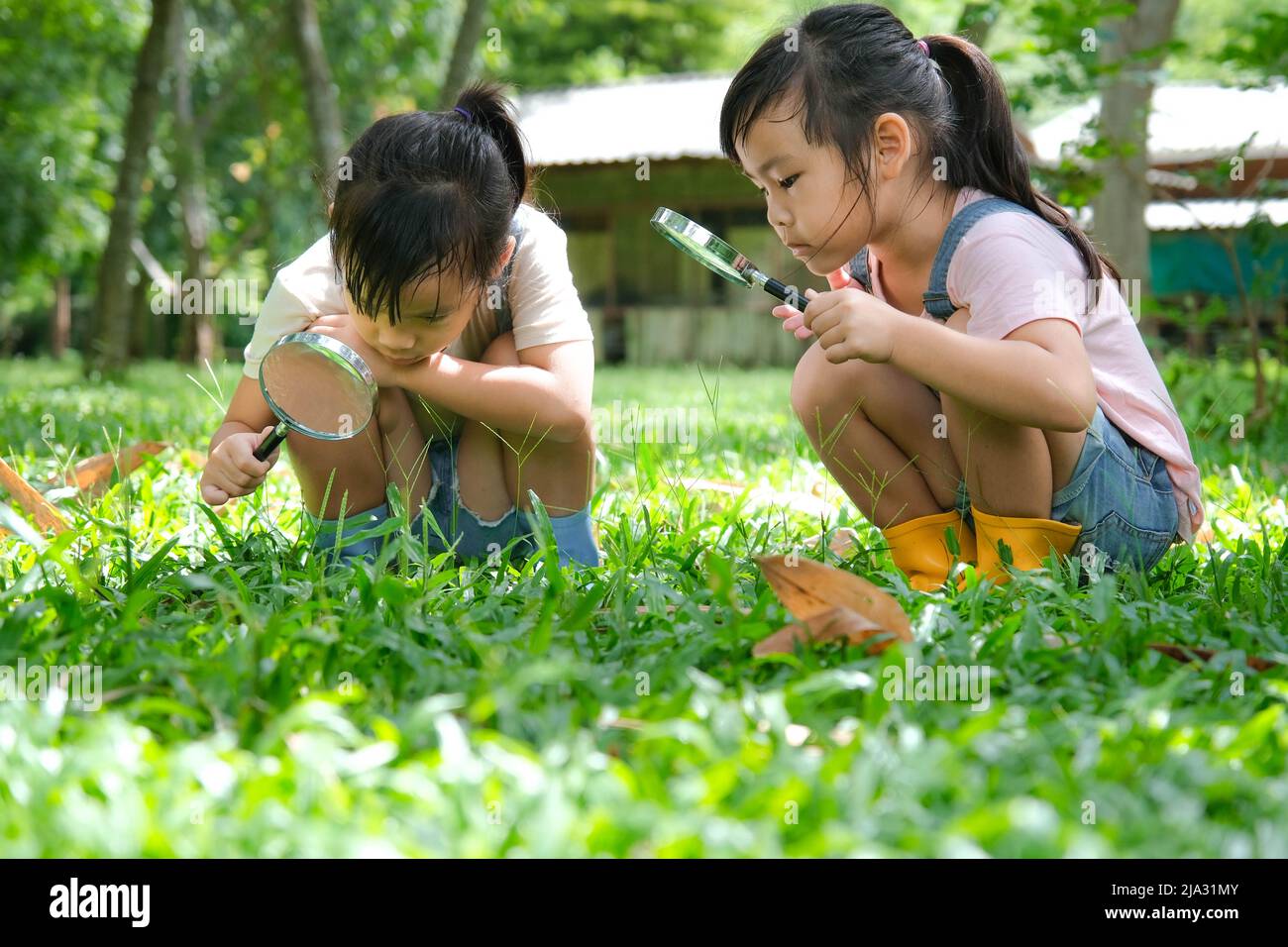 Children learn and explore nature with an outdoor magnifying glass ...