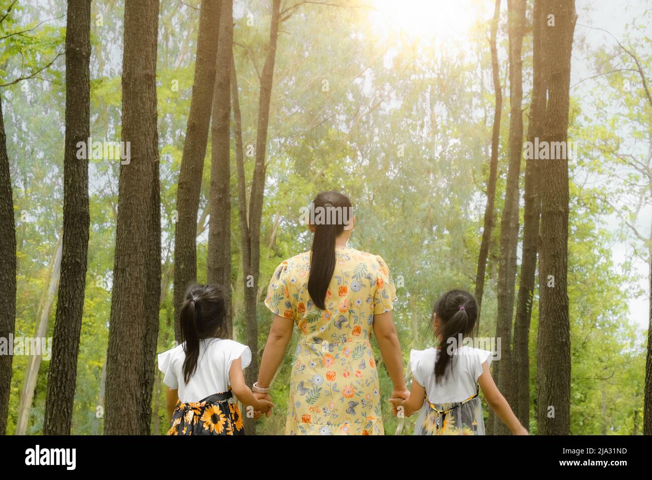 Rear view of young mother walking with children in the park. Two lovely ...