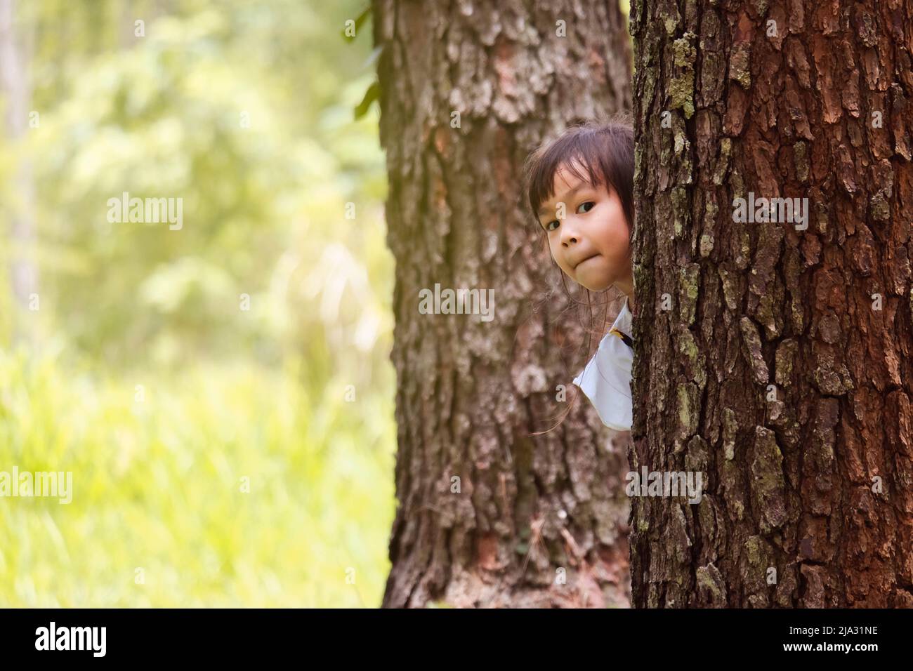 Smiling little girl standing behind a tree and looking at the camera ...