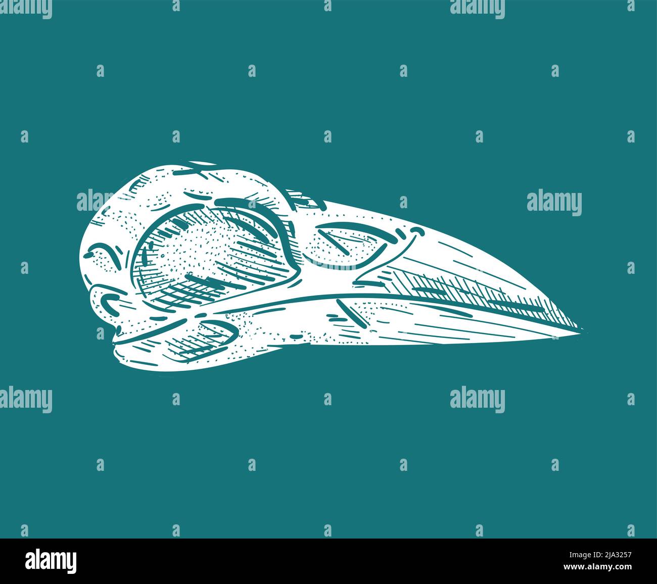 Raven Skull isolated. Raven head skeleton. Vector illustration Stock ...