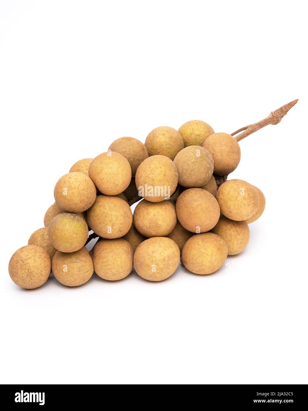 Longan. fresh longan isolated on white background. Fresh longan thai ...