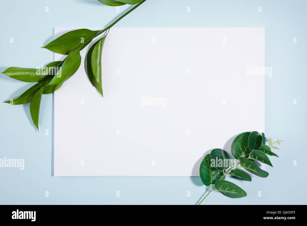 protect earth and environment concept, paper with copy space plant ...