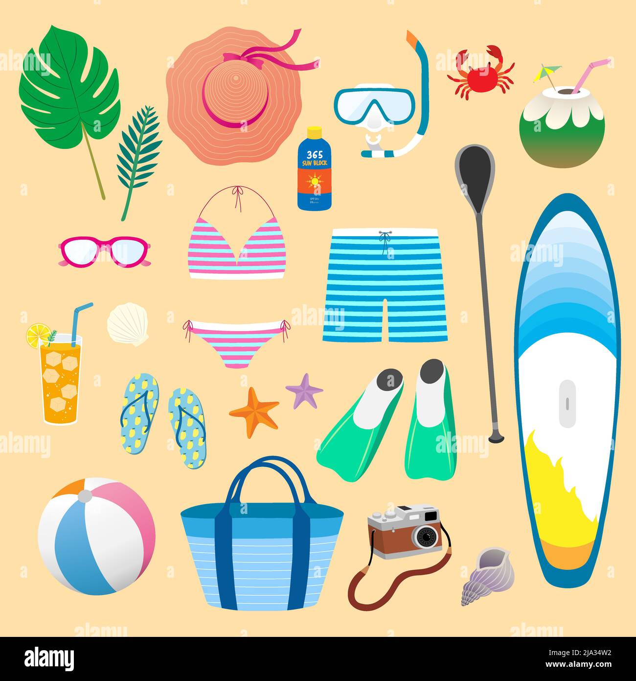 summer object, water play object vector illustration Stock Photo - Alamy