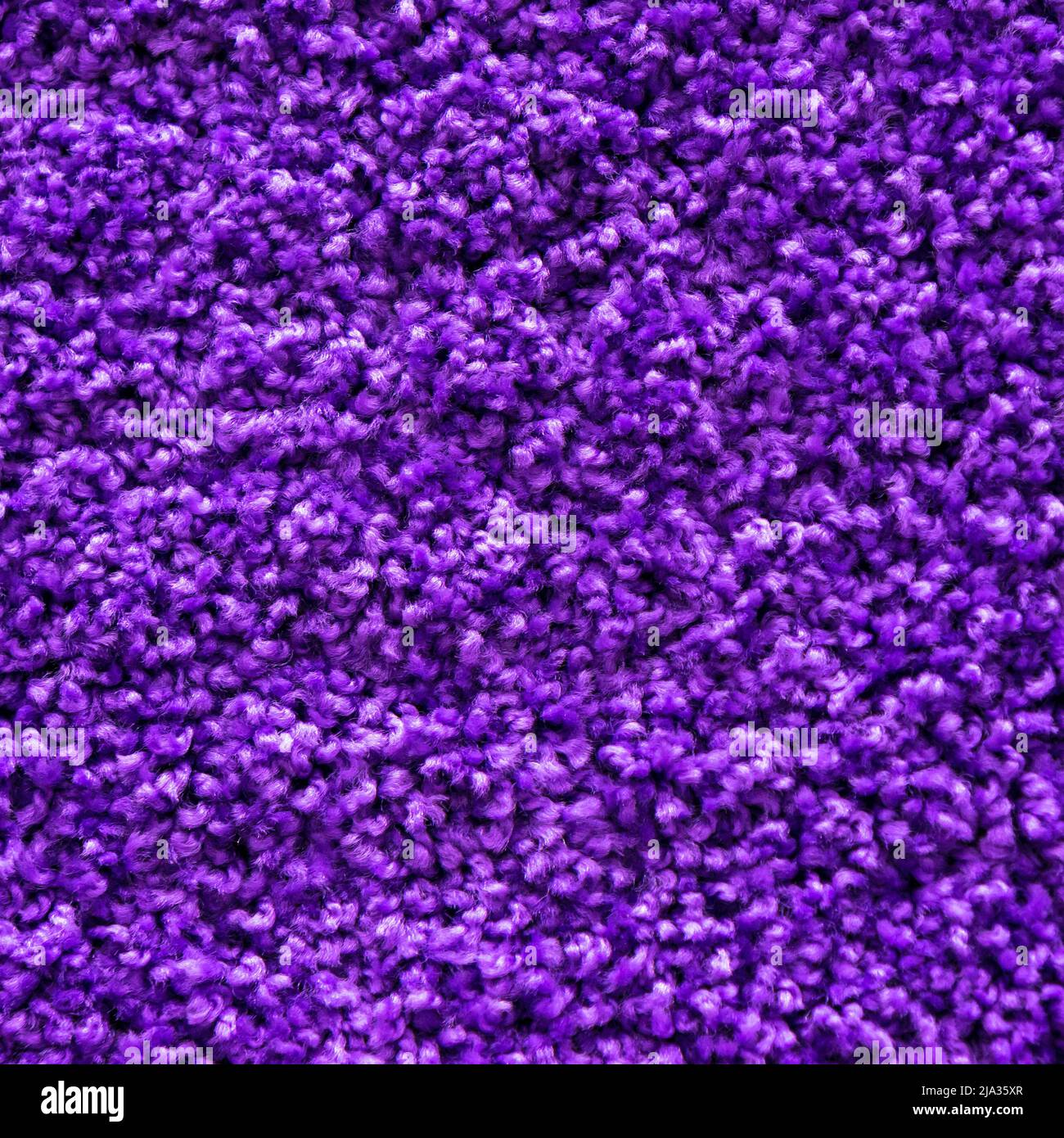 Carpet texture. Violet carpet background close up Stock Photo - Alamy