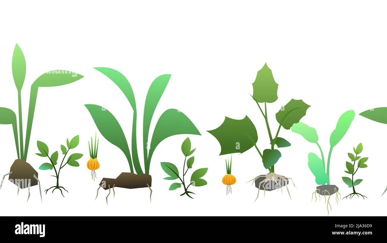 Seedling composition Stock Vector Images - Alamy