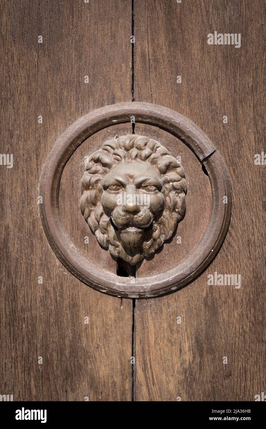 Cast iron door gate design with lion's head Stock Photo - Alamy