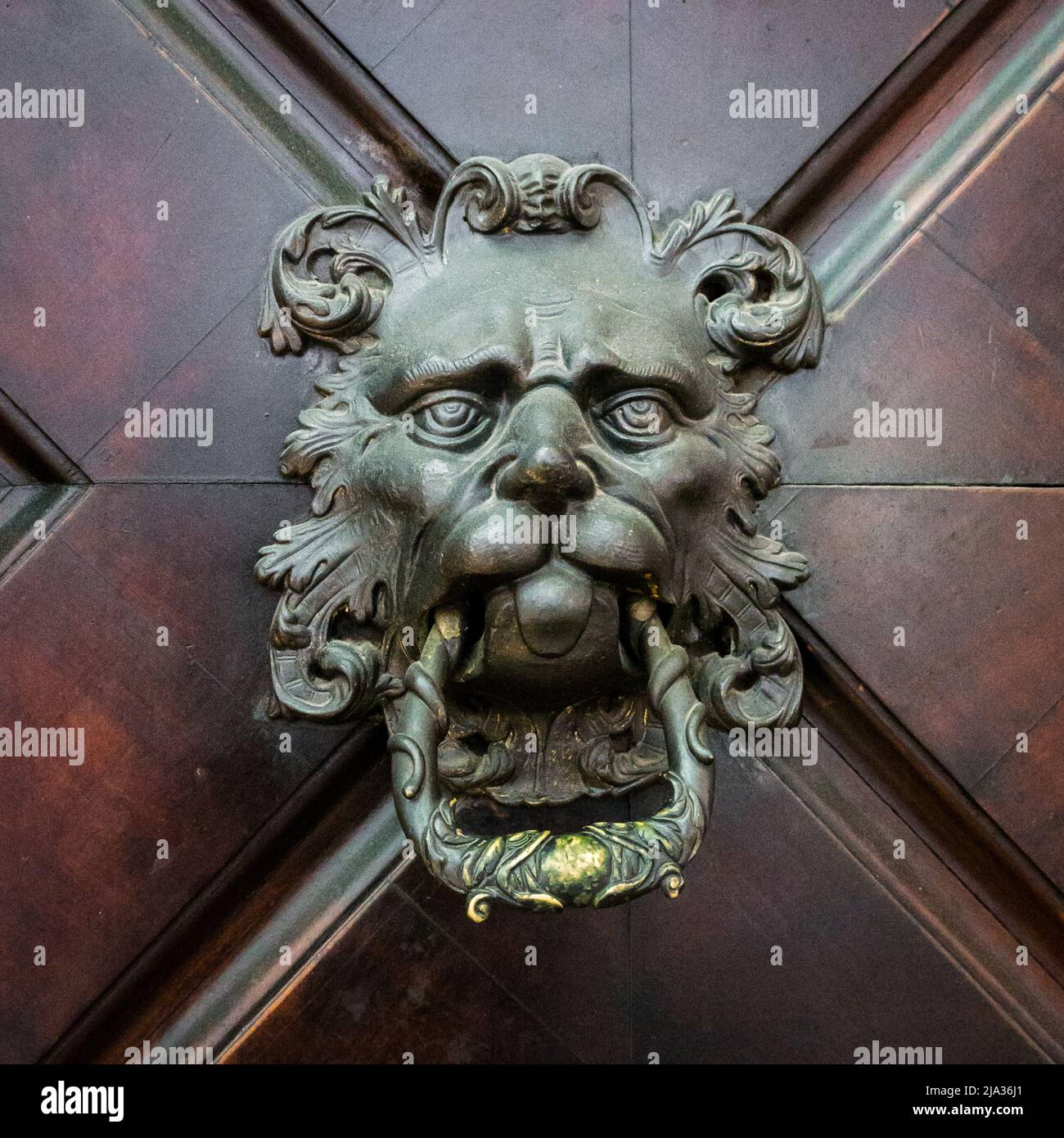 Cast iron door gate design with lion's head Stock Photo - Alamy