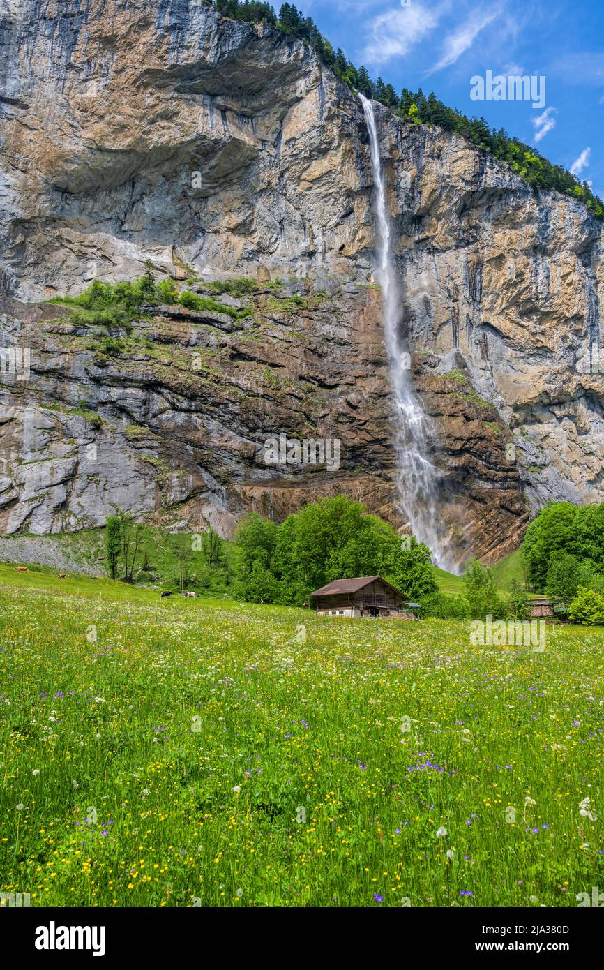 Staubbach waterfall, Lauterbrunnen, Canton of Bern, Switzerland Stock ...