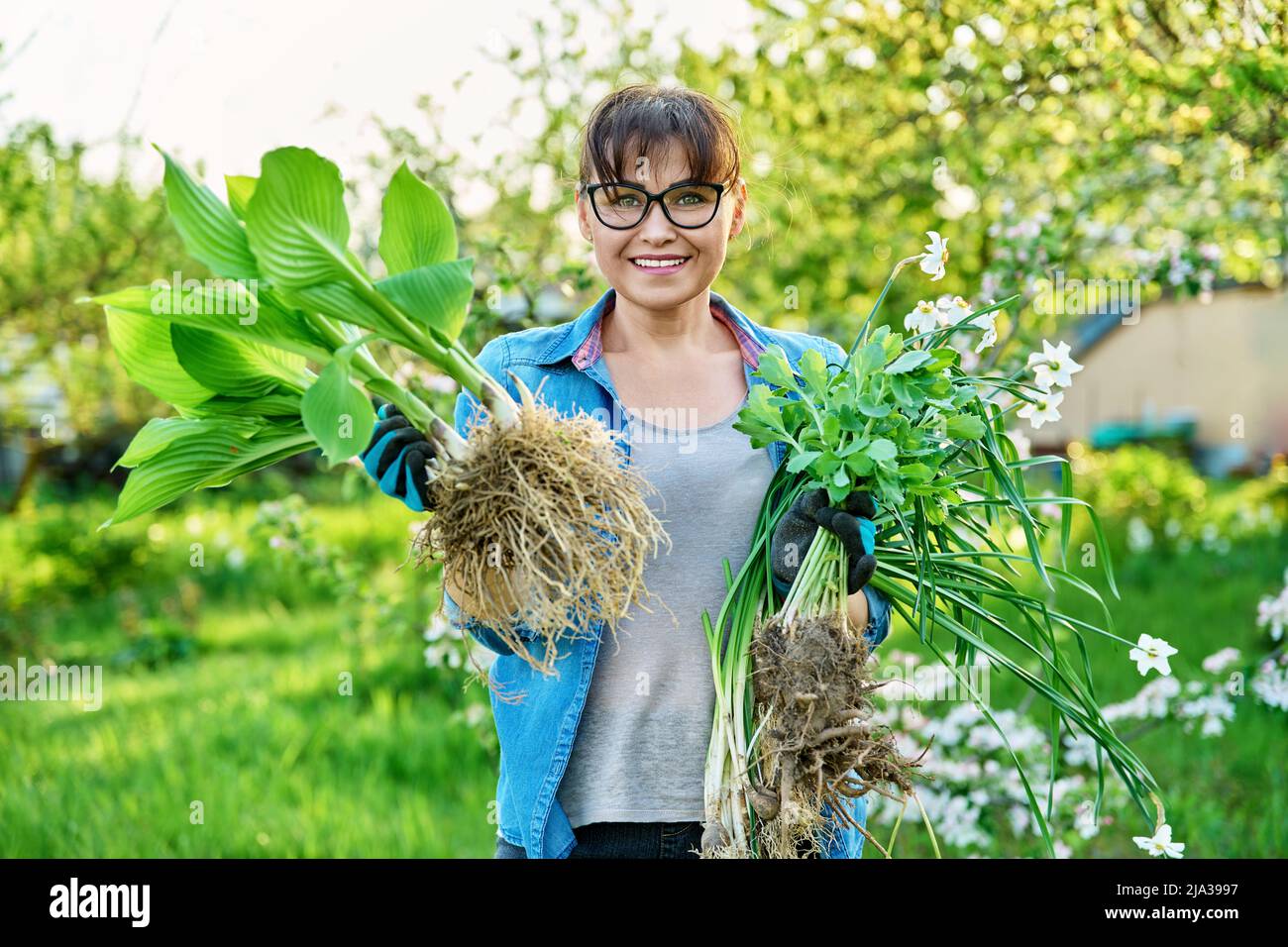 Beautiful middle aged woman with rooted plants looking at camera Stock ...