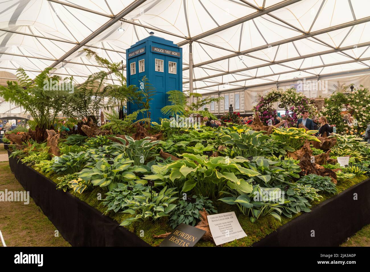 Inside the pavilion Chelsea Flower Show Stock Photo - Alamy