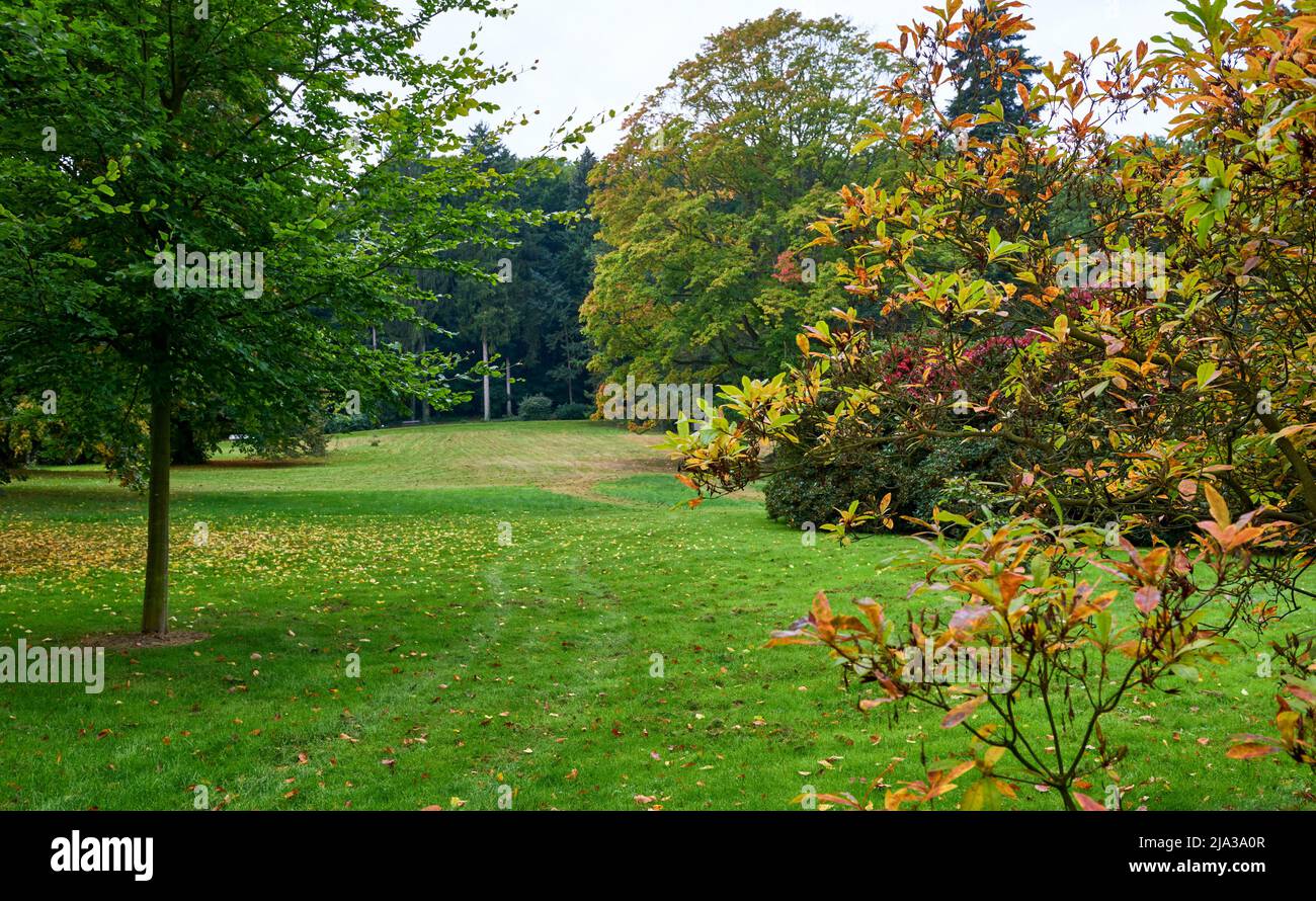 Czech environment hi-res stock photography and images - Alamy