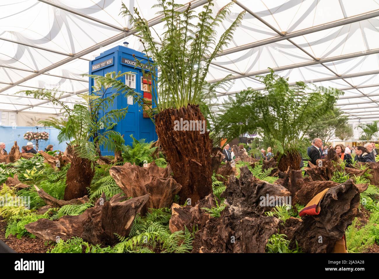 Inside the pavilion Chelsea Flower Show Stock Photo - Alamy