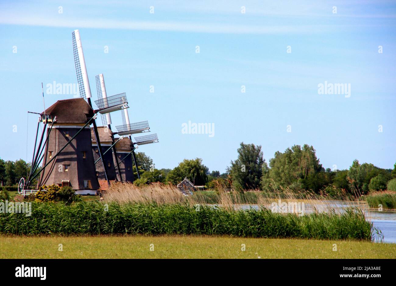 Sheeps windmill on green meadow hi-res stock photography and images - Alamy