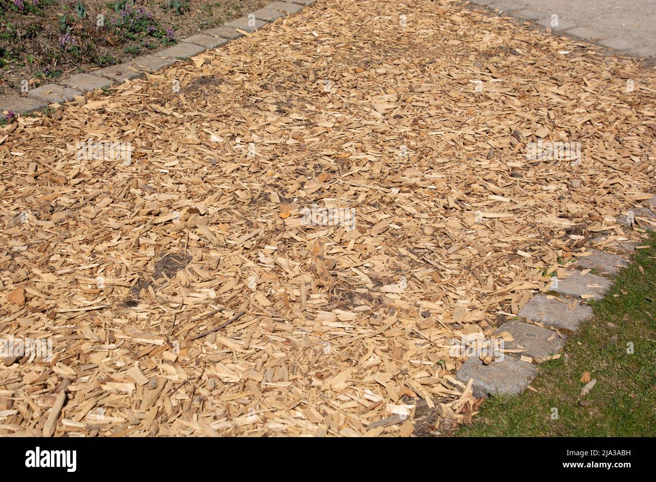 Simple pathway in home garden landscape made of wood chips Stock Photo ...