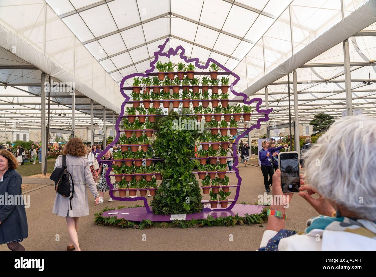 Inside the pavilion Chelsea Flower Show Stock Photo - Alamy