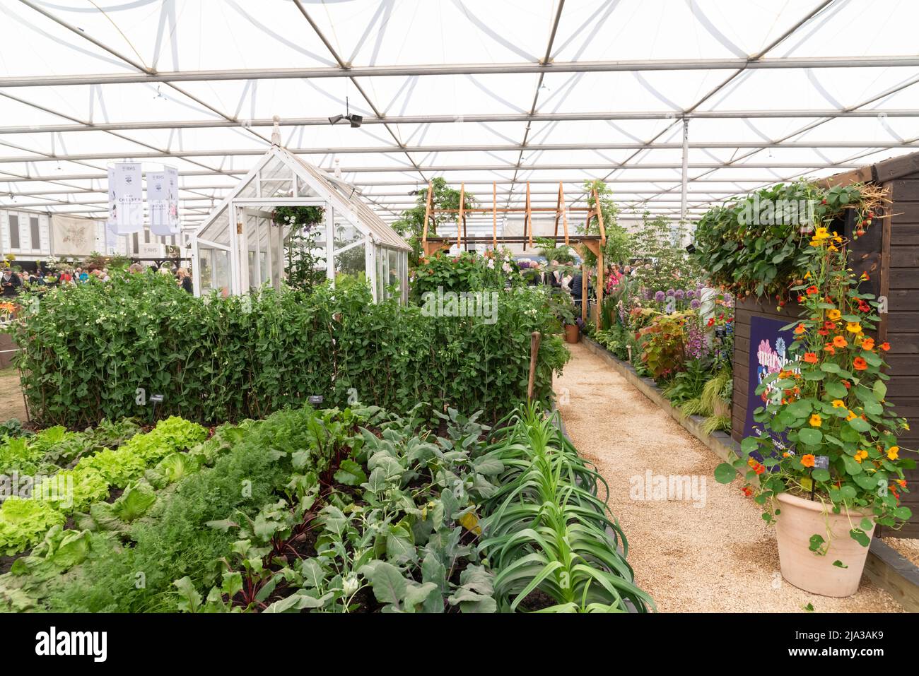 Inside the pavilion Chelsea Flower Show Stock Photo - Alamy