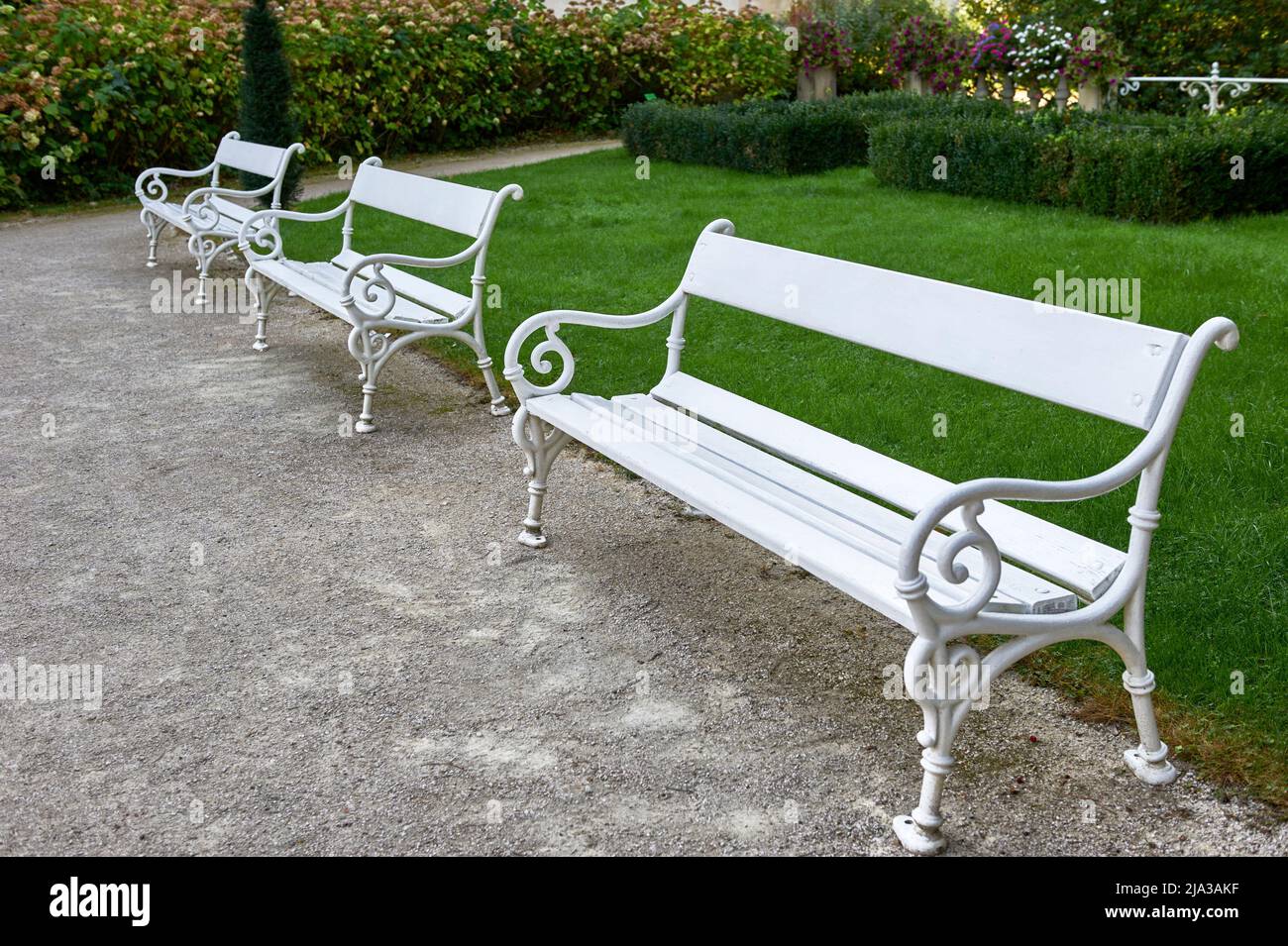 Park bench tree white background hi-res stock photography and images ...