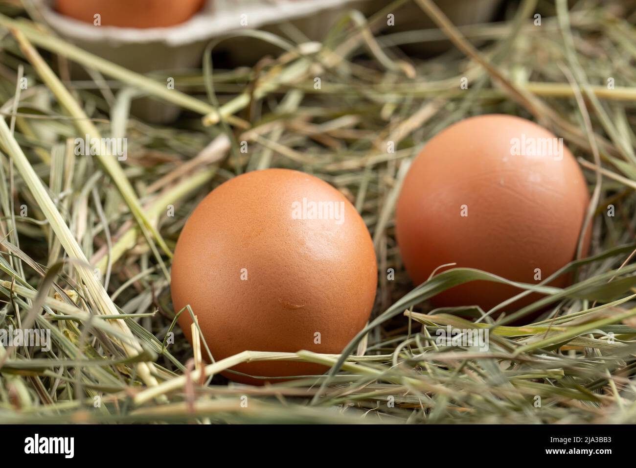 Chicken eggs in a tray and in hay. Farming concept Stock Photo - Alamy
