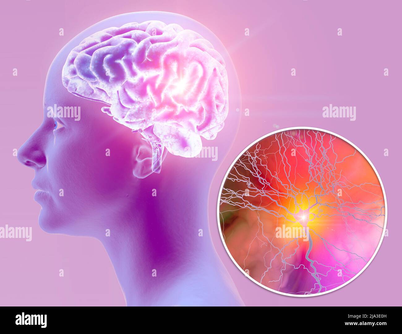Conduction hi-res stock photography and images - Alamy
