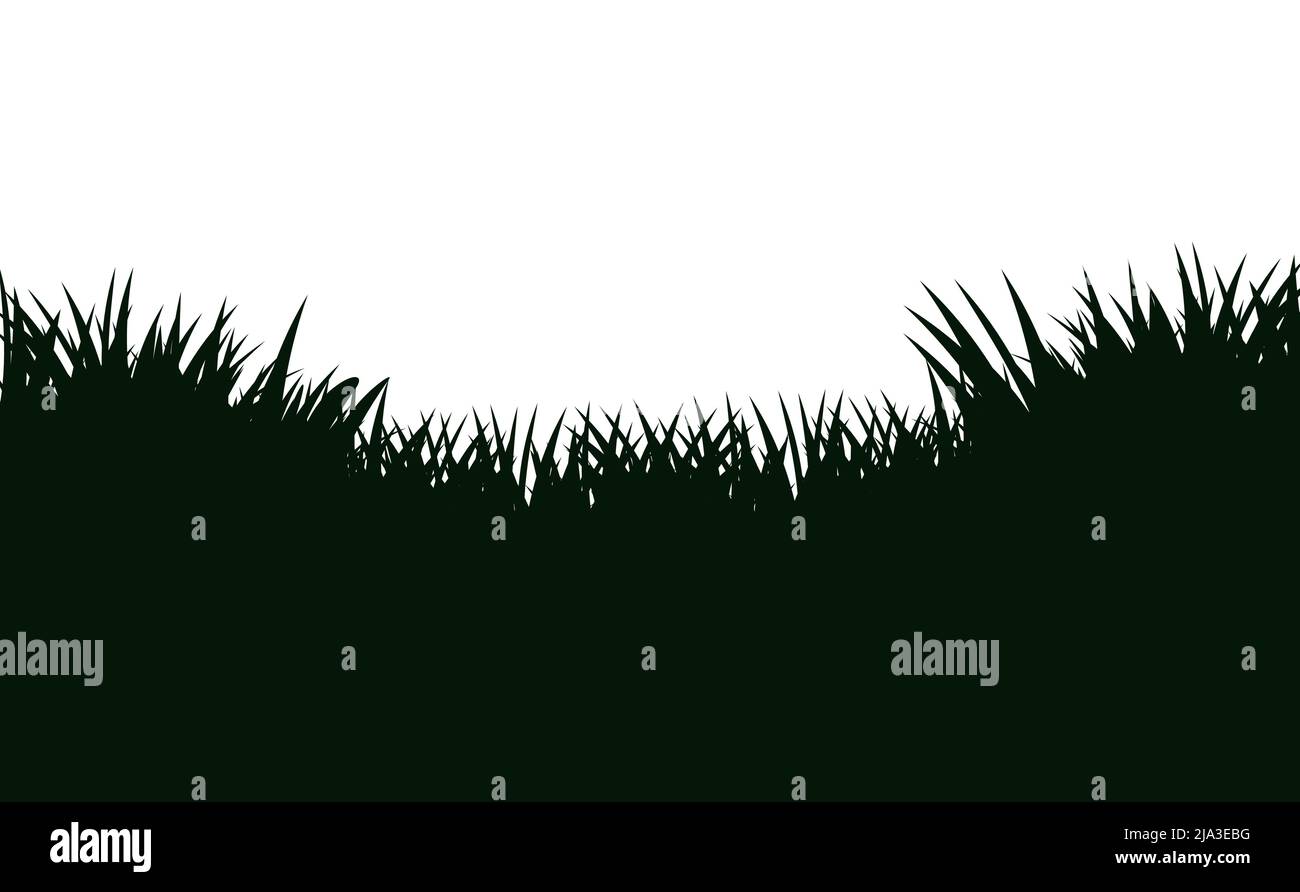 Grass. Nature rural landscape. Pasture overgrown. Overgrown dense lawn ...