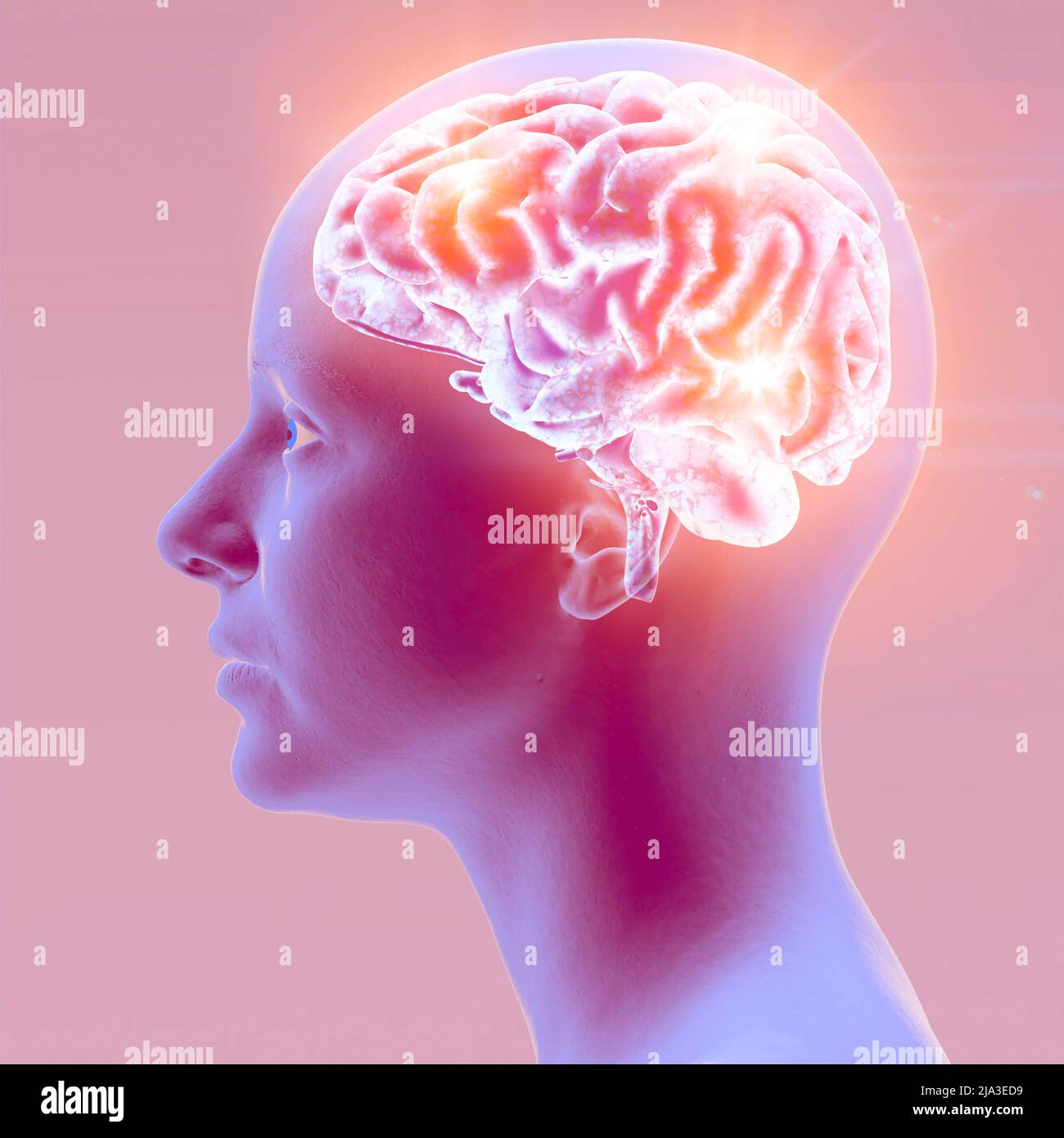 Synapse connections. Structure that permits a neuron (or nerve cell) to ...
