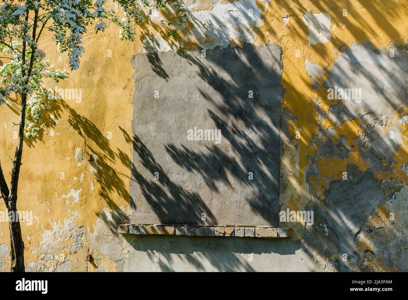 Playing of light and shadow on the old spotted wall Stock Photo - Alamy