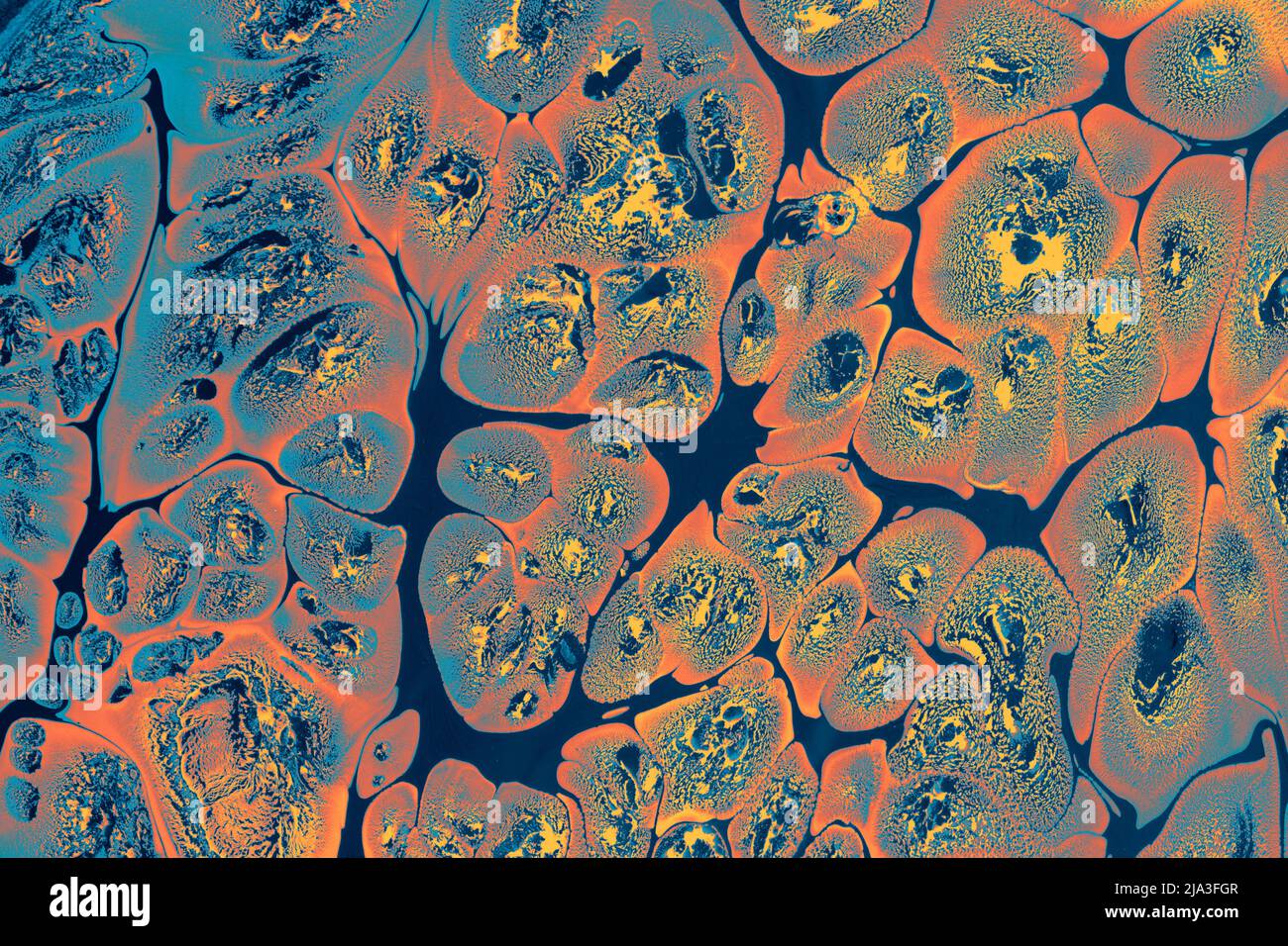 Ebru marbling handmade art, traditional Ebru technique. abstract ...