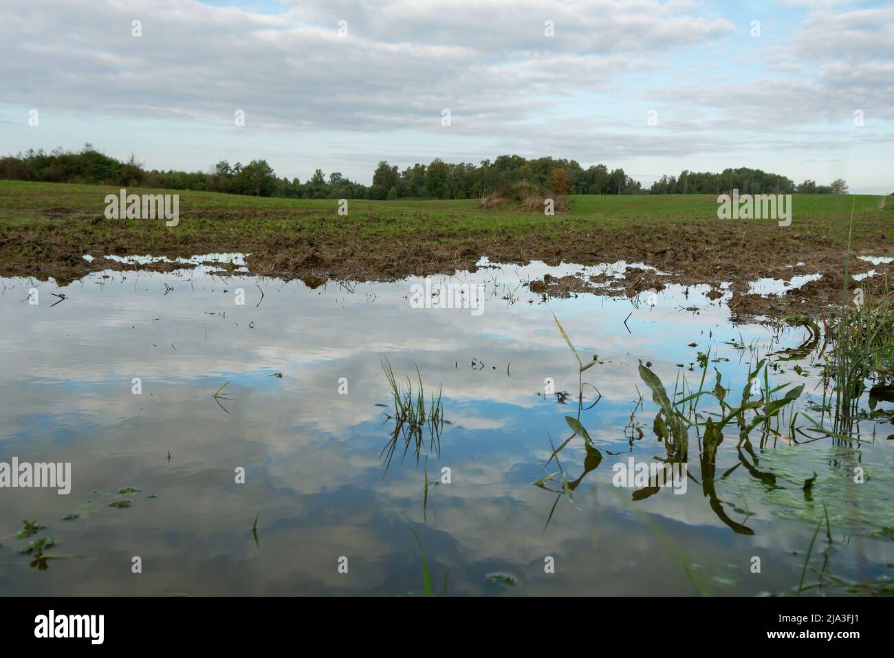 View wet soil puddle hi-res stock photography and images - Alamy