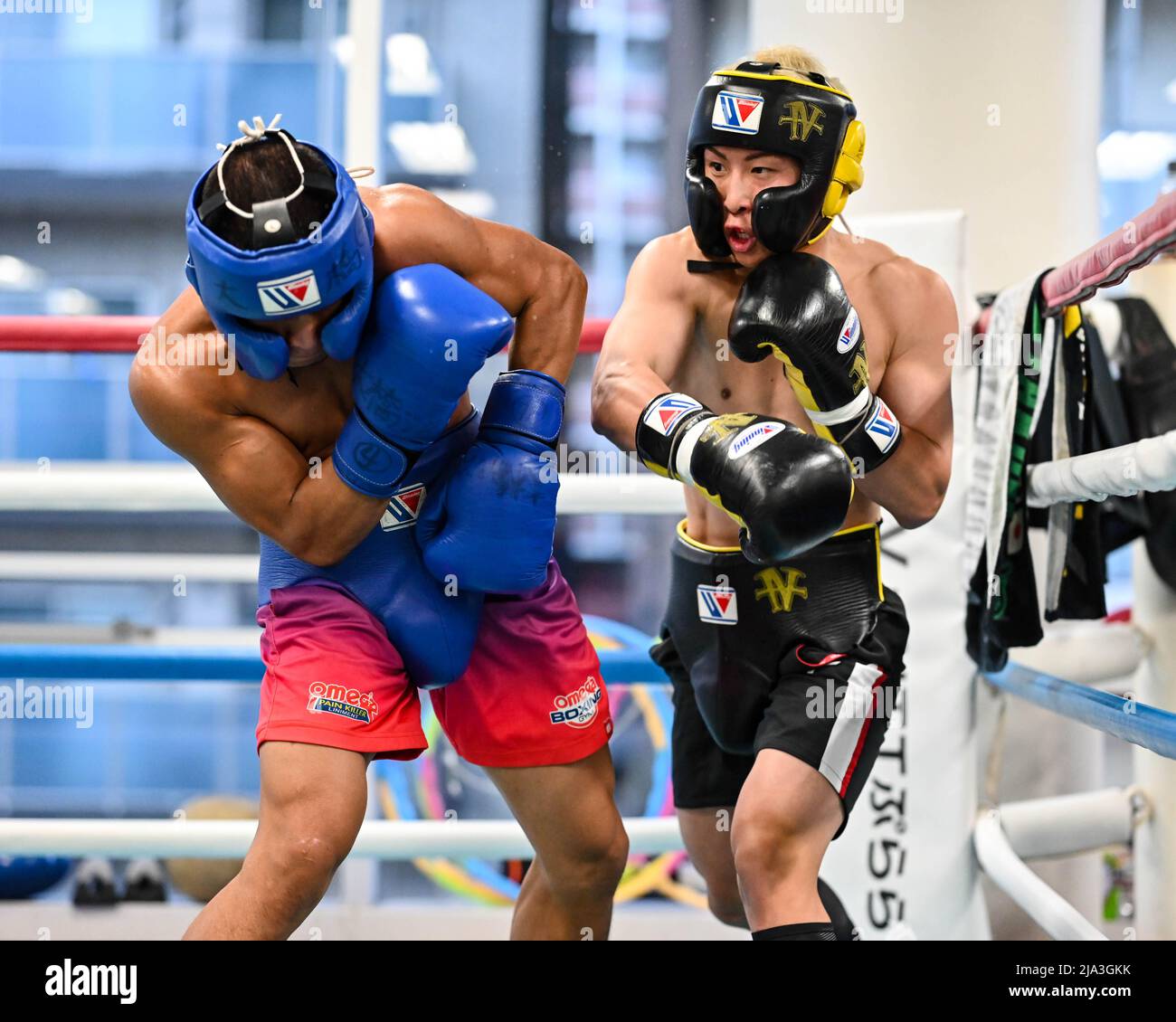 Yokohama, Kanagawa, Japan. 2nd May, 2022. Naoya Inoue (JPN) Boxing ...