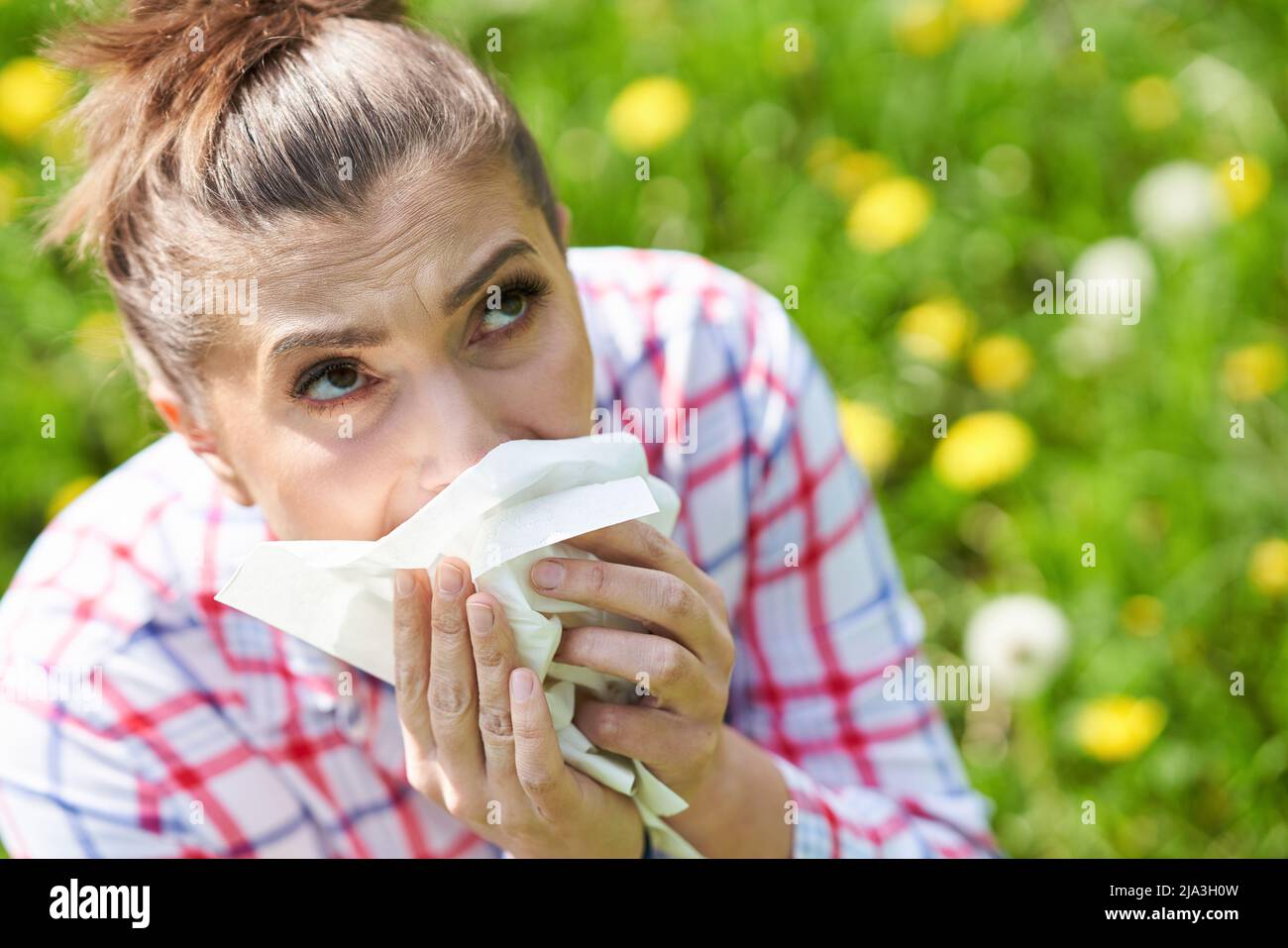 Young woman having allergic symptoms with tissue Stock Photo - Alamy
