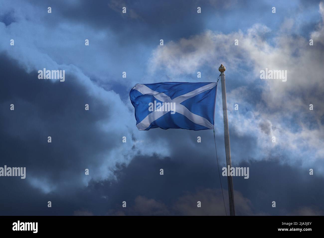 Scottish flag vector hi-res stock photography and images - Alamy