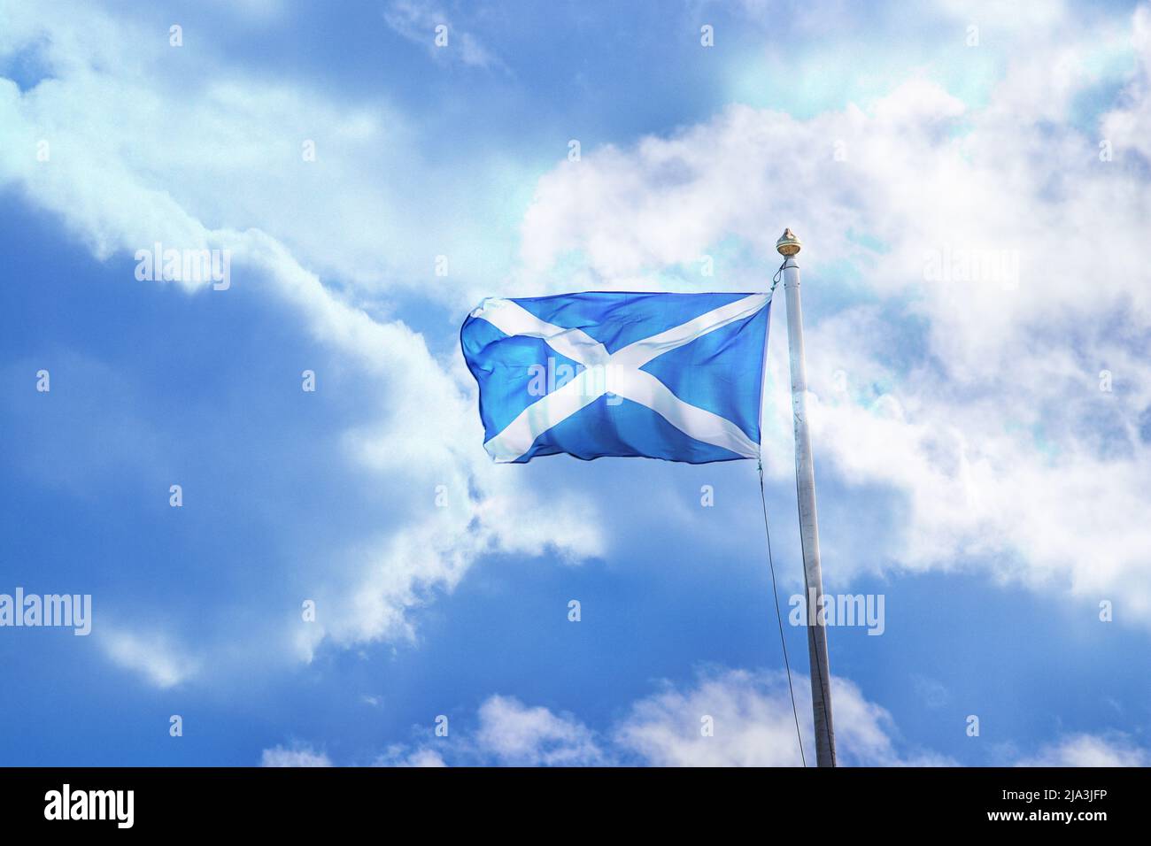 Scottish flag vector hi-res stock photography and images - Alamy