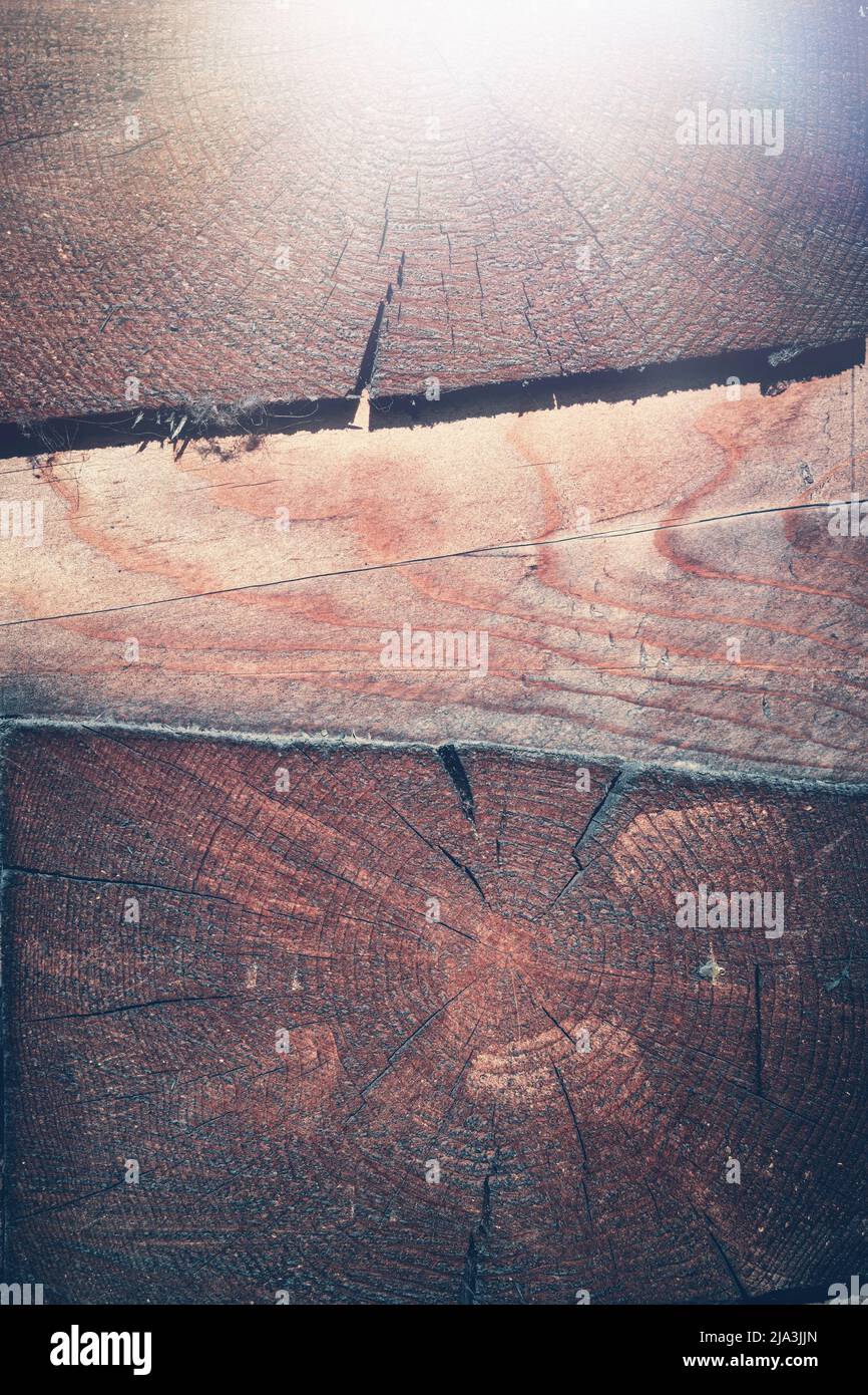 Wood structure of log cabin.Closeup shot Stock Photo - Alamy