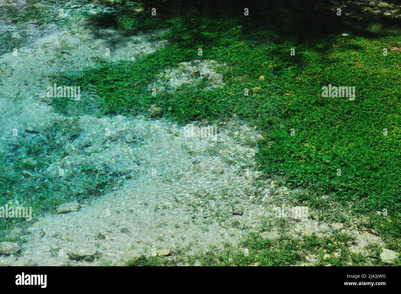 Riserva naturale Lago di Posta Fibreno, Lazio Stock Photo - Alamy