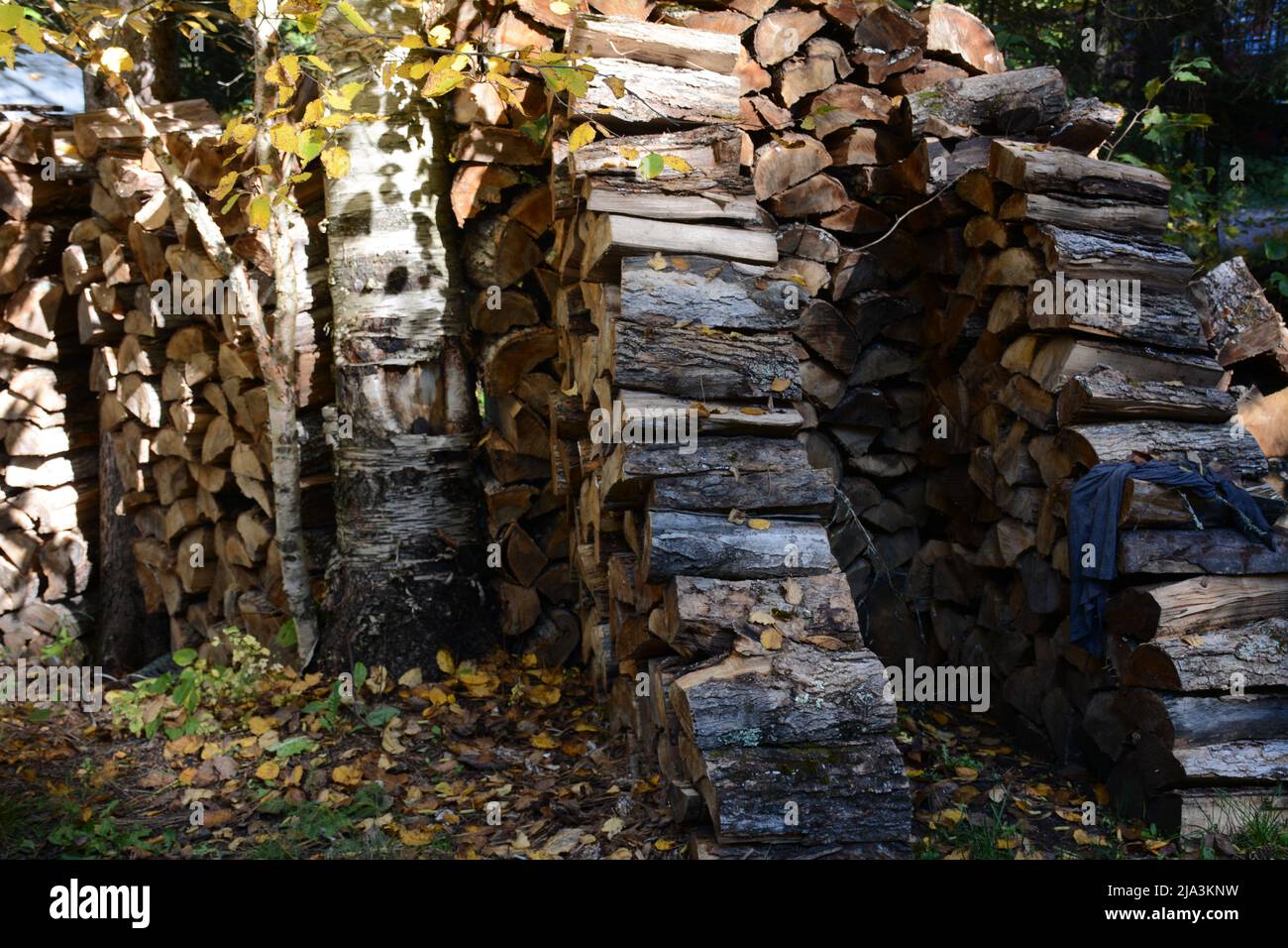 Rural scenes in the fall from Northern Ontario Stock Photo - Alamy