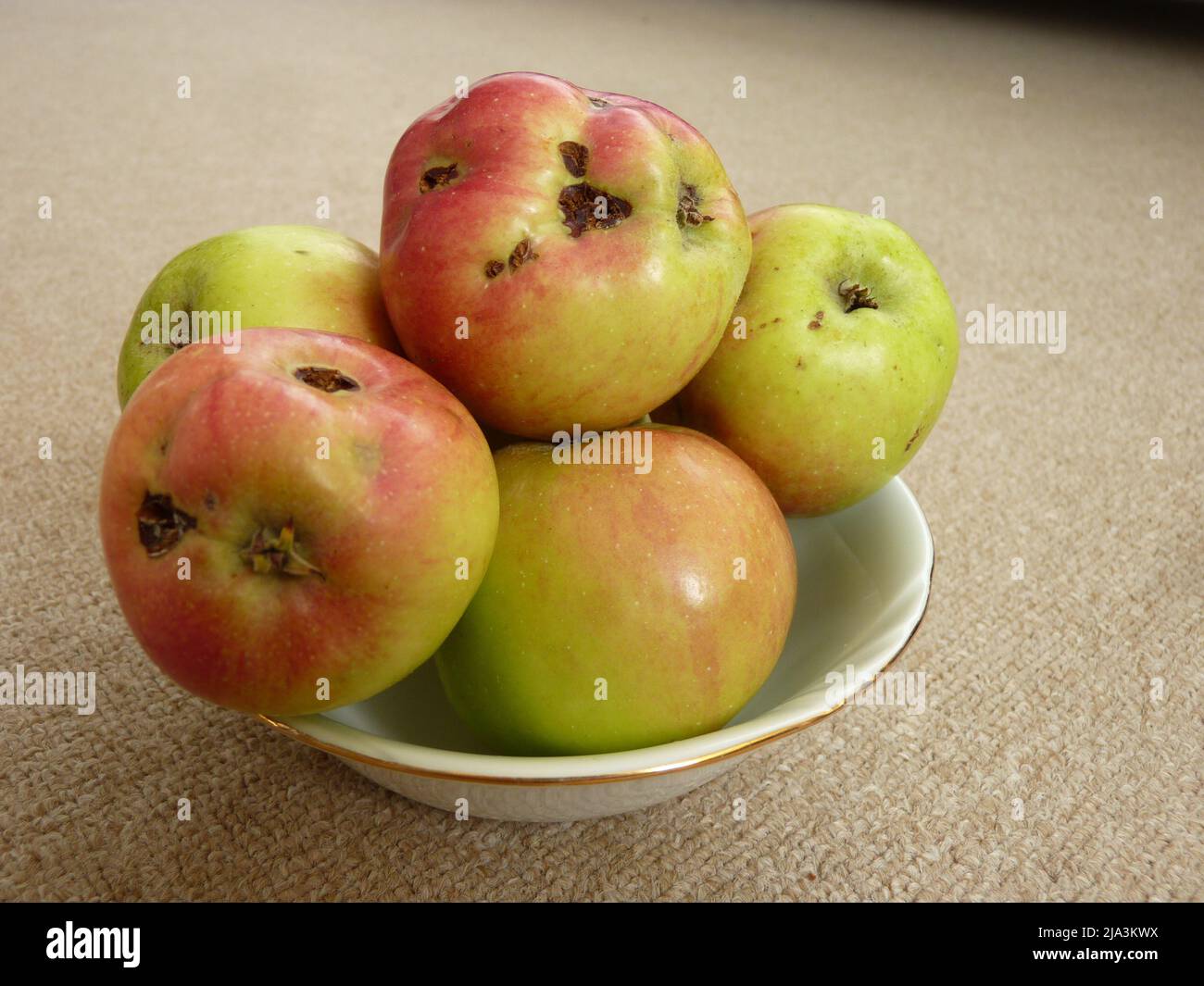 Rotten vegetable fruit hi-res stock photography and images - Alamy